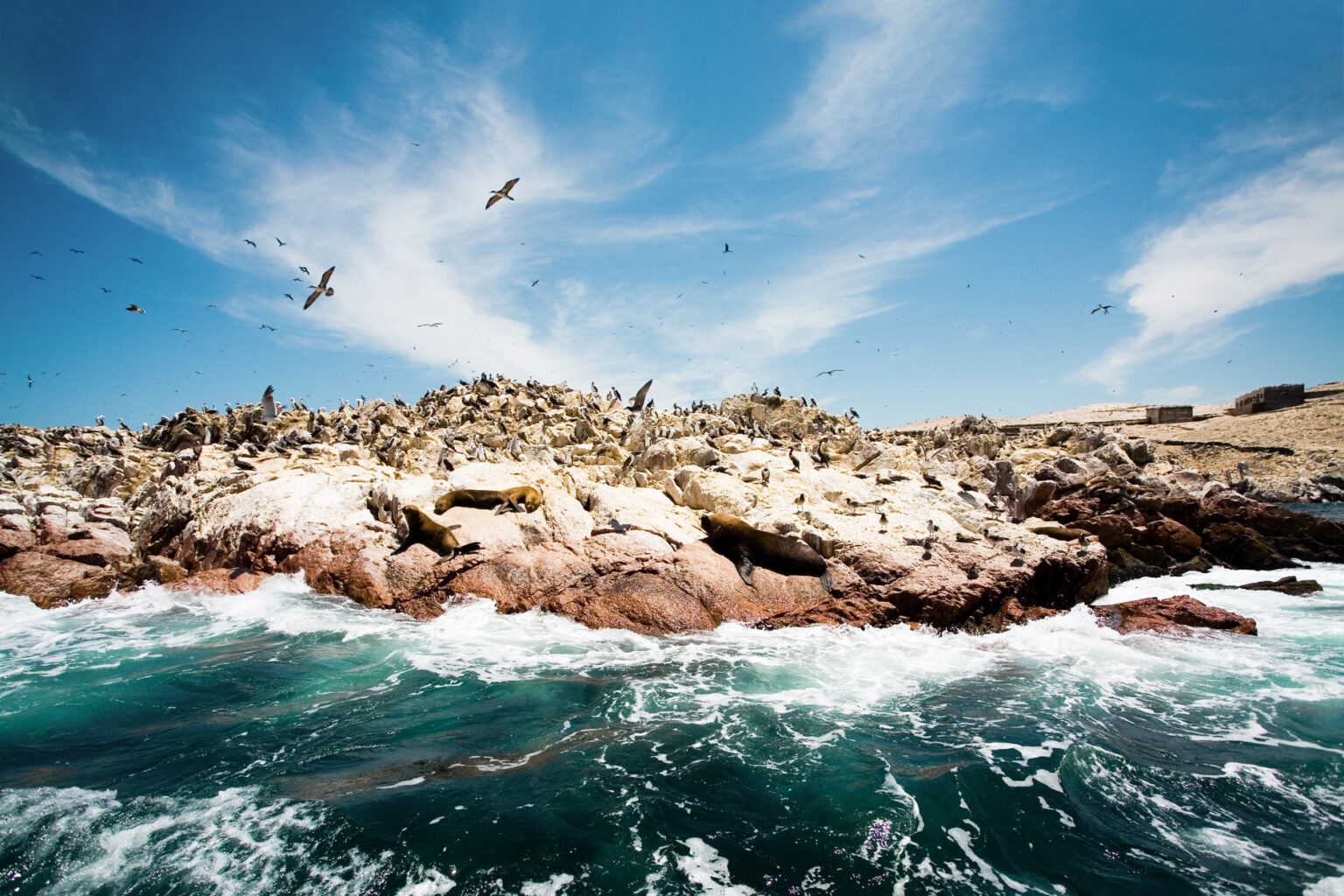 reserva nacional de paracas - About Perú